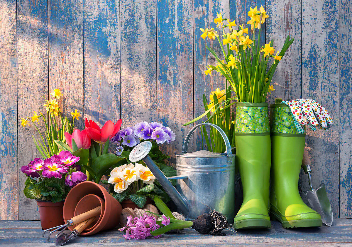 Get Your Yard Spring Ready With These 7 Simple Steps – Norman's Garden ...