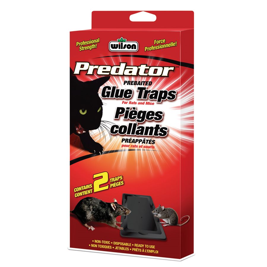 Wilson Predator Pre-Baited Glue Traps for Rats 2pk – Norman's Garden ...